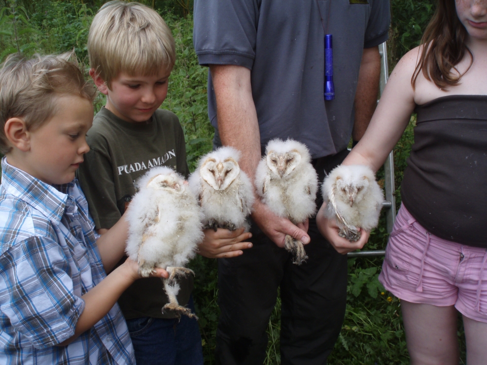 Wildlife Watch | Nottinghamshire Wildlife Trust Wildlife Watch | Nottinghamshire Wildlife Trust